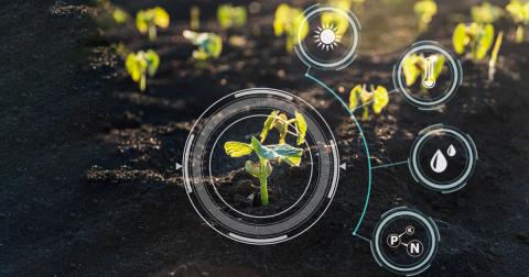 Computer Vision & Deep Learning Facilitates Precision Agriculture | Xoriant